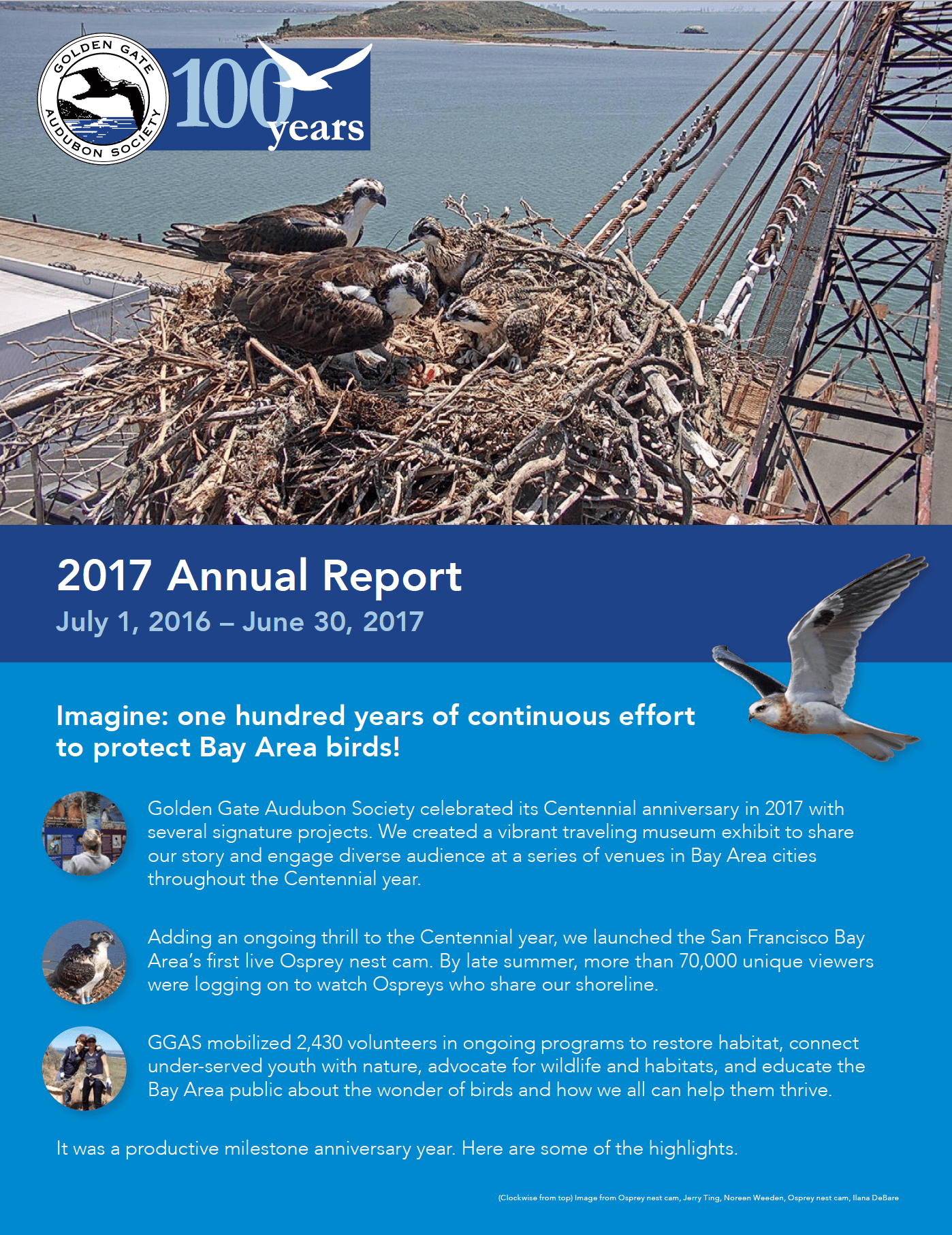 Annual Report - Golden Gate Bird Alliance