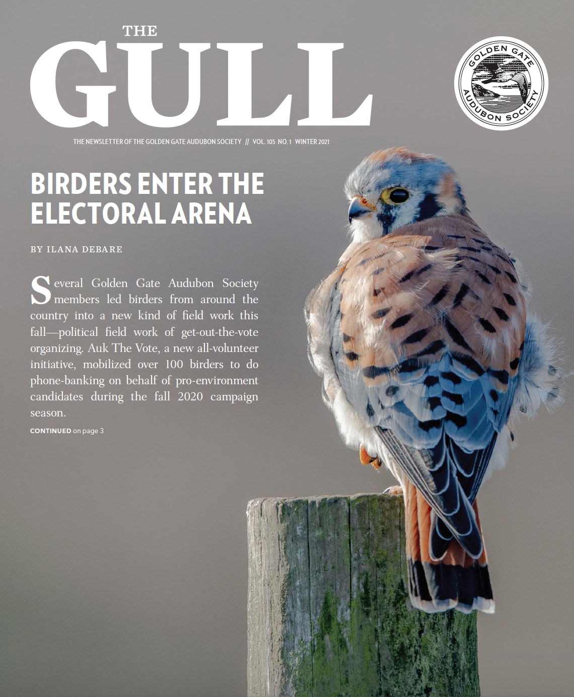 The Gull - Golden Gate Bird Alliance