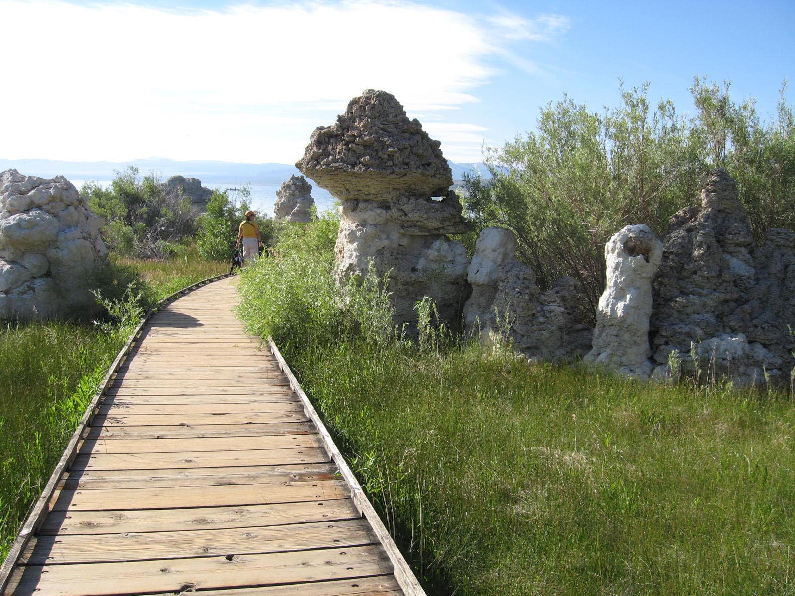 Mono Lake July 2009 004 - Golden Gate Bird Alliance
