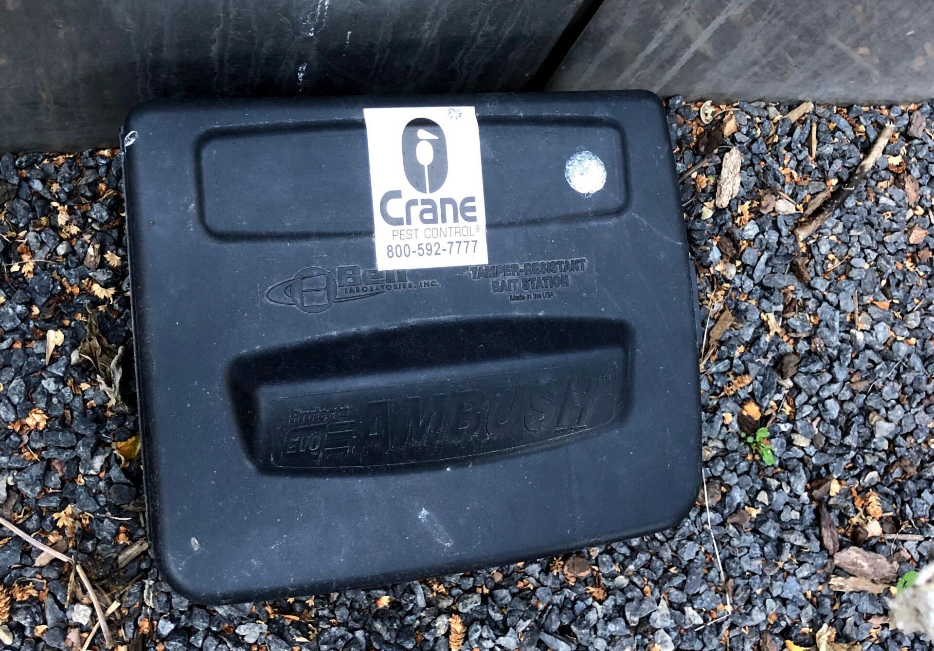 Help enforce California's rodenticide ban - Golden Gate Bird Alliance