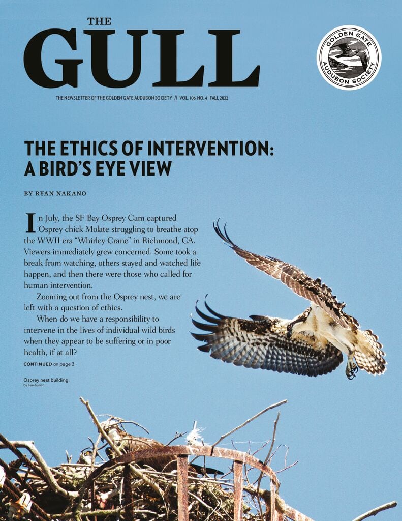 Fall 2022 Gull is now online - Golden Gate Bird Alliance