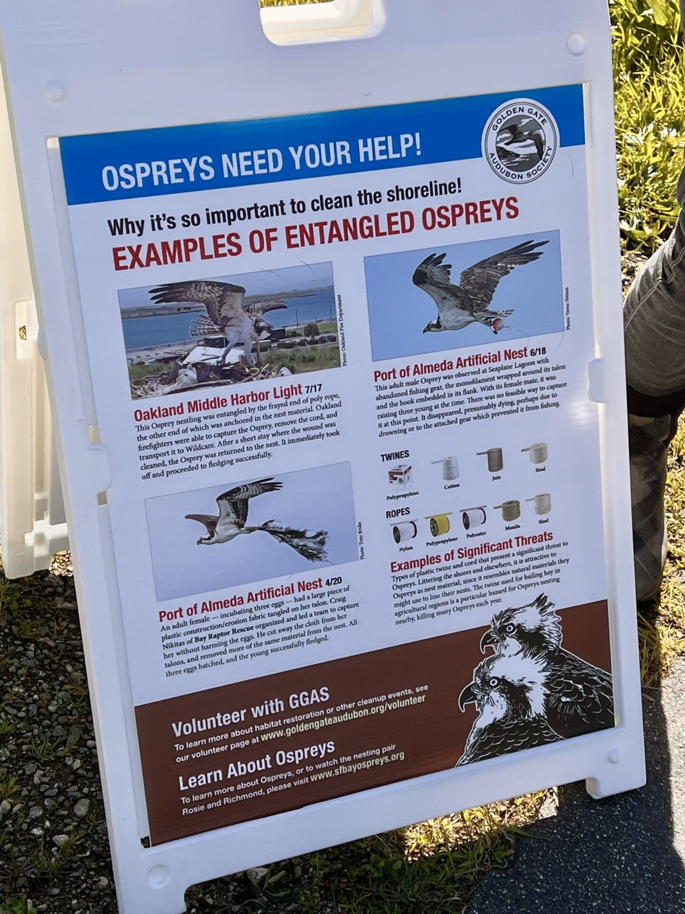 2023-0301-GGBA-Poster-MeekerSlough Osprey Hab Cleanup-16-RobinBanks ...