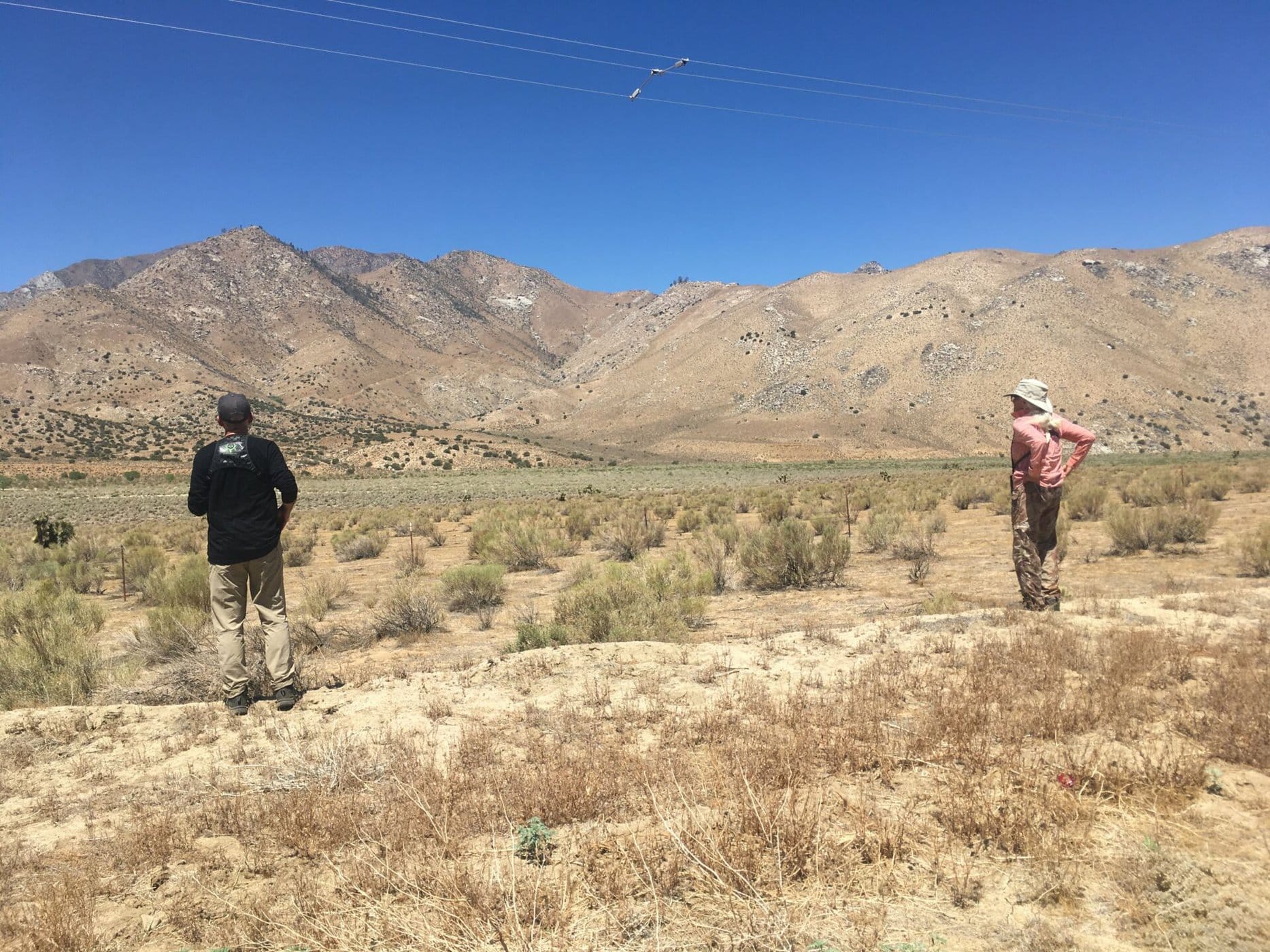 From the Sierras to the Mojave: A Search for the Yellow-Billed Cuckoo ...