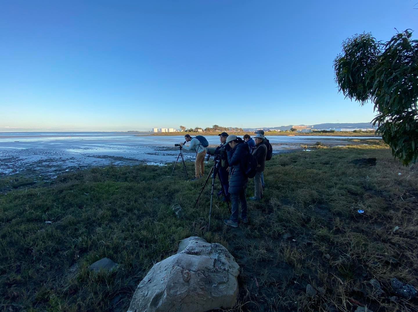 Bay Birding Challenge Team: Stork Raven Mad - Golden Gate Bird Alliance