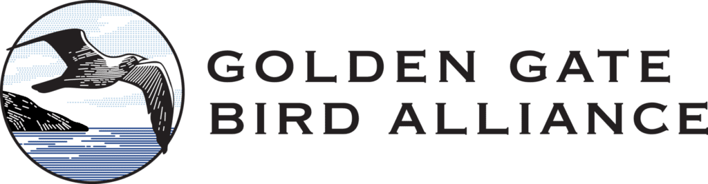 Listening with Merlin: How Sound ID Works and What It Can (and Can’t ...