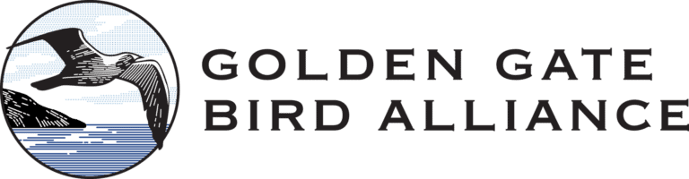 Minnesota Owls - Golden Gate Bird Alliance