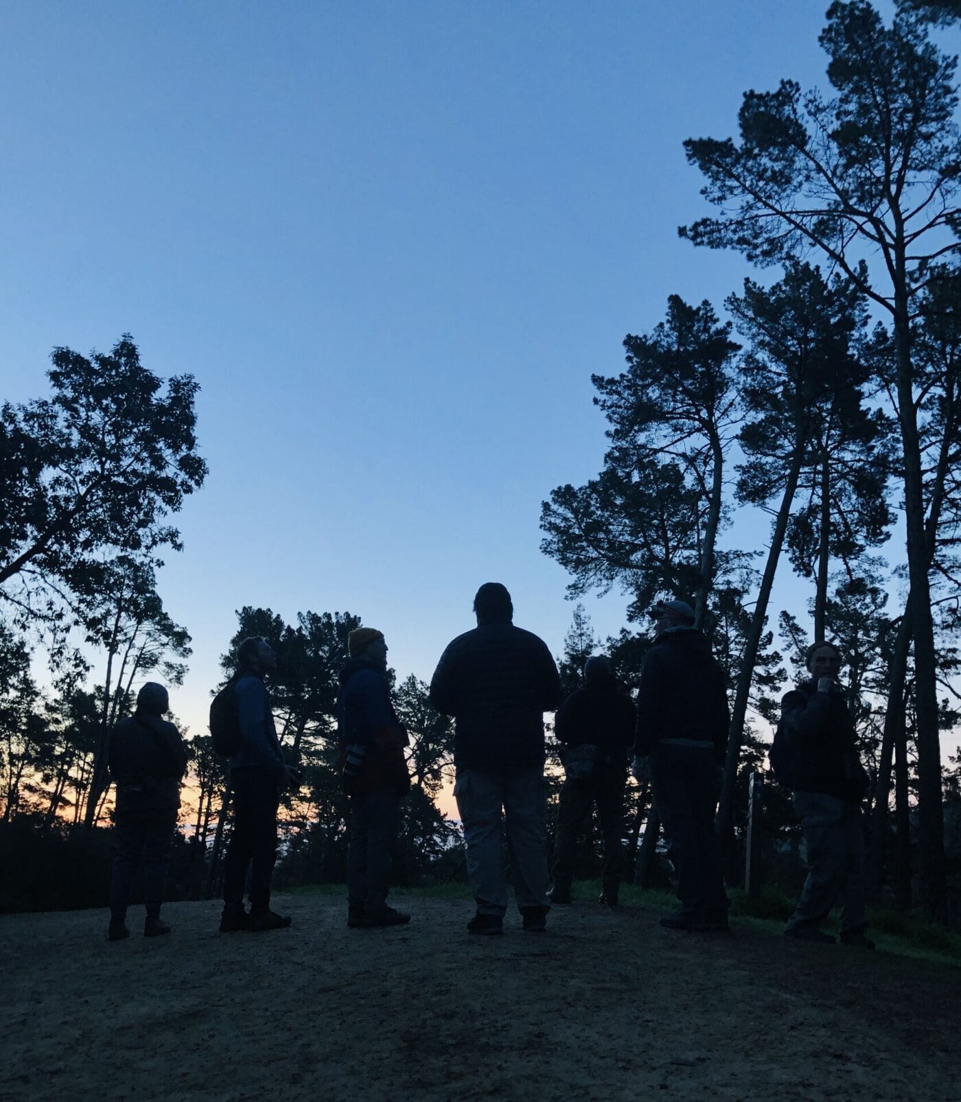 Light Pollution on Bird Migration Behavior - Golden Gate Bird Alliance