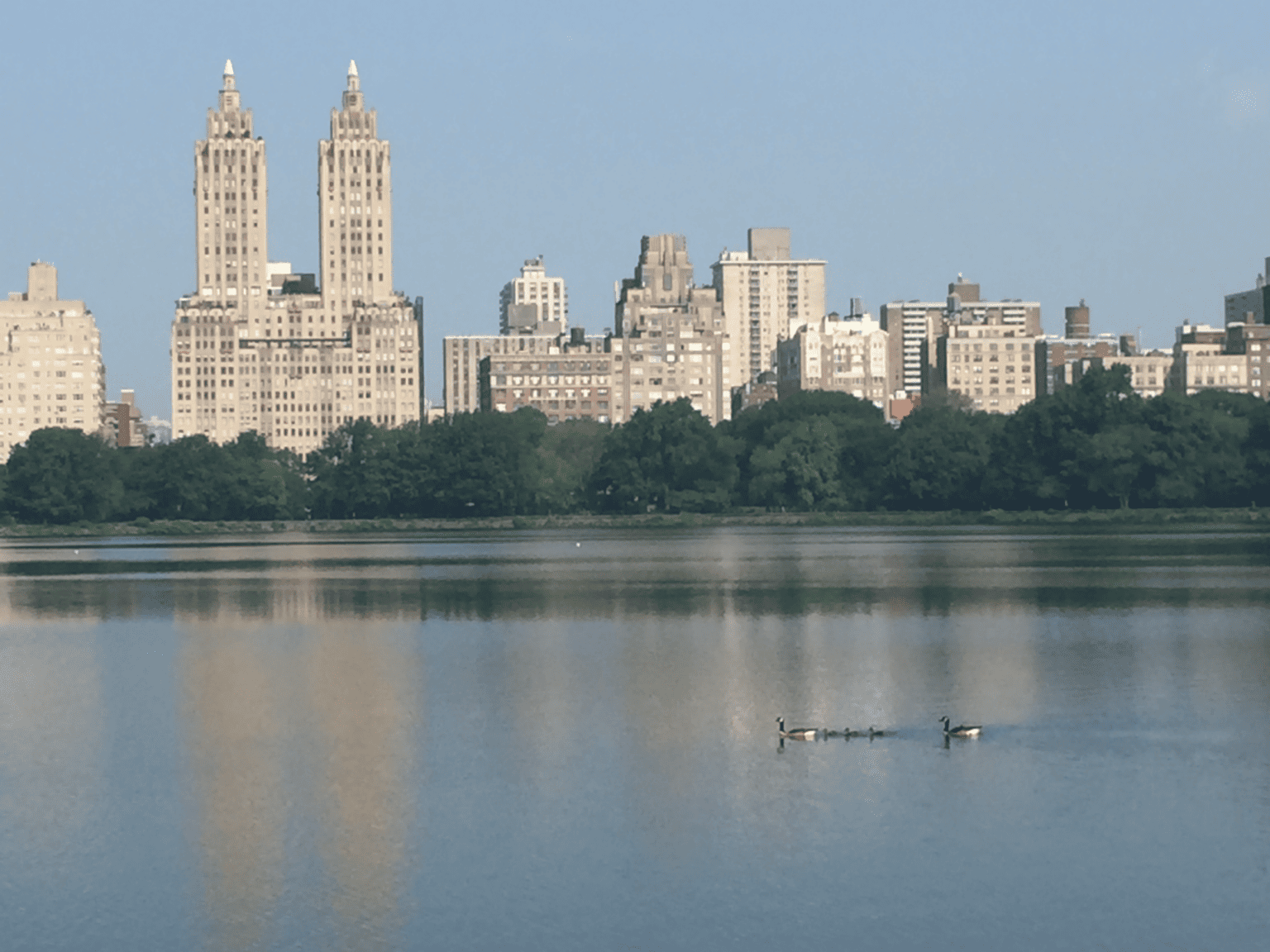 CENTRAL PARK BIRDING — WHY IT'S SPECIAL - Golden Gate Bird Alliance