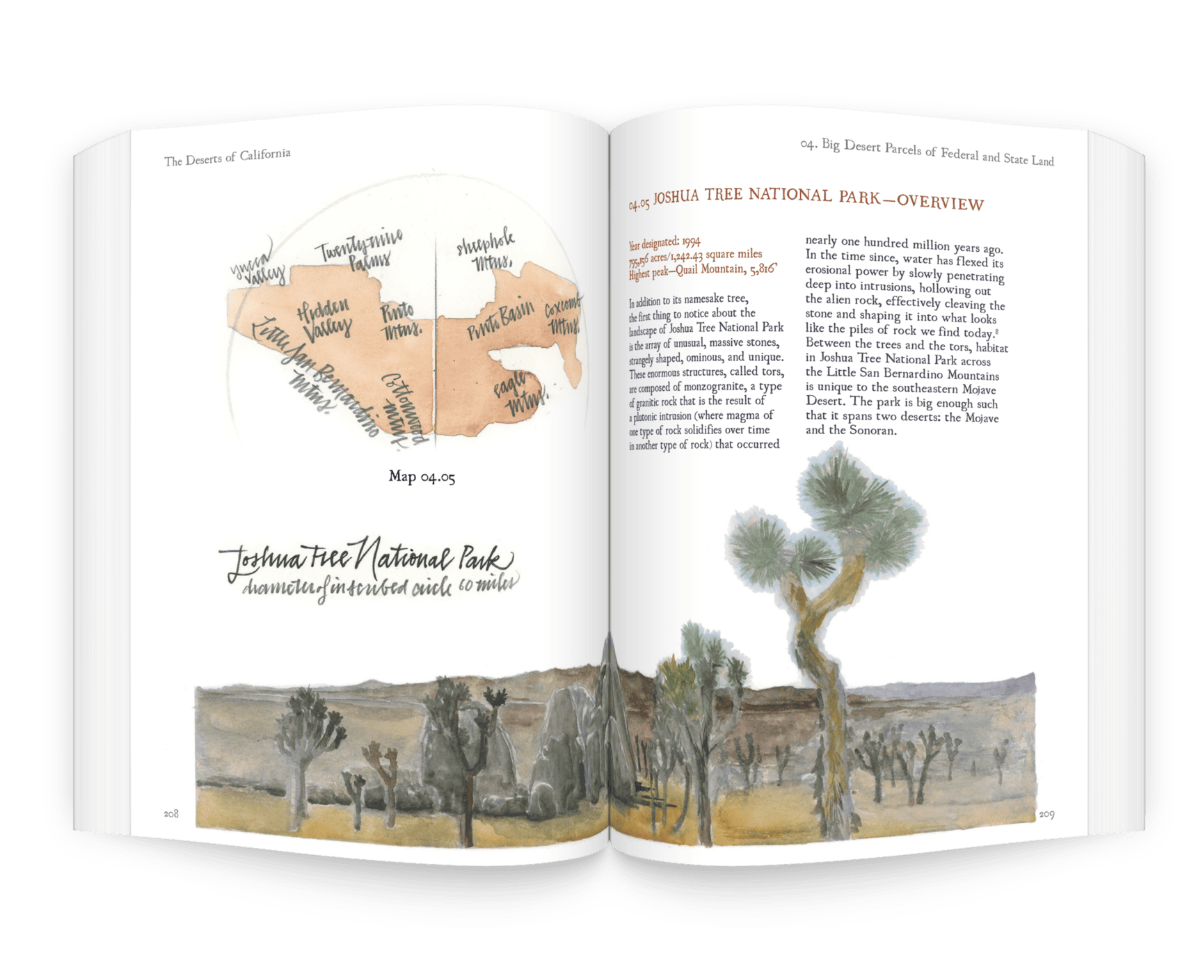 Joshua-Tree-Deserts - Golden Gate Bird Alliance