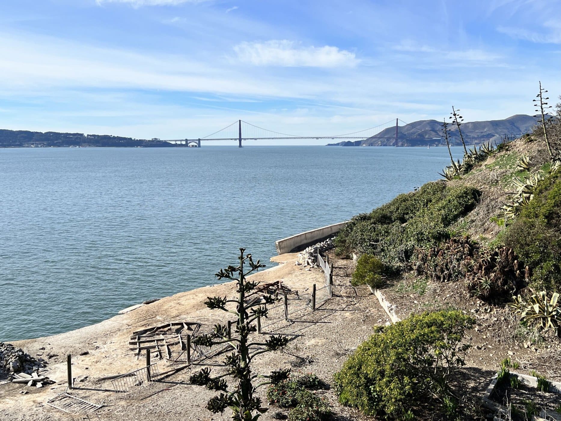 Birding the Bay Islands: The crazy chaos of nesting season on Alcatraz ...