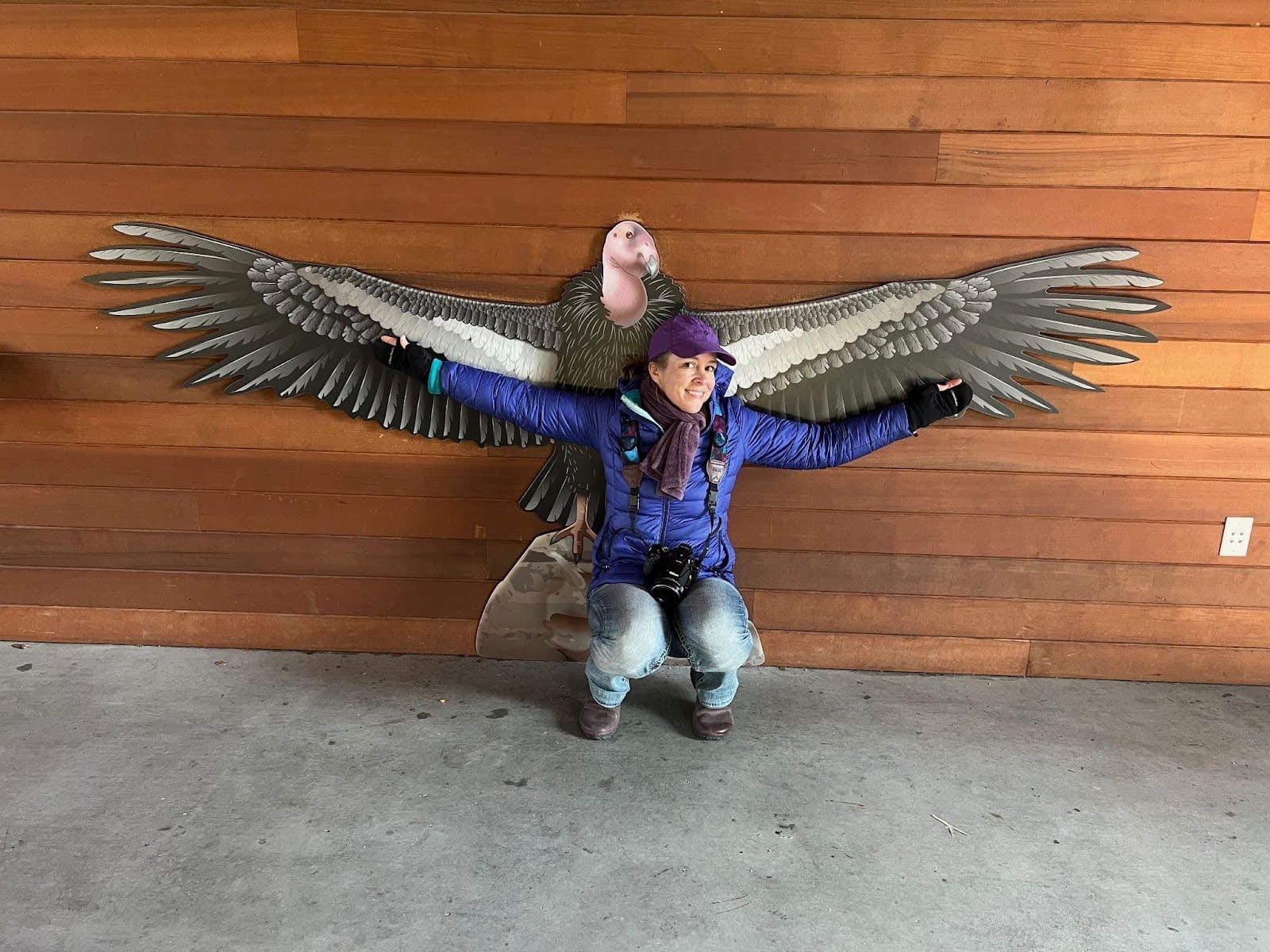 Elizabeth Winstead Wingspan - Golden Gate Bird Alliance