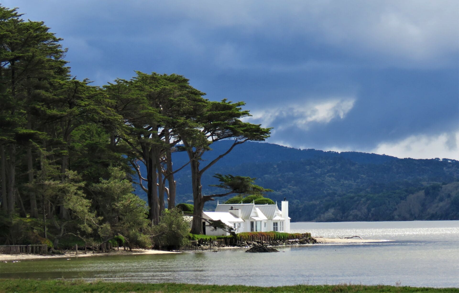 Exploring Cypress Grove - Golden Gate Bird Alliance