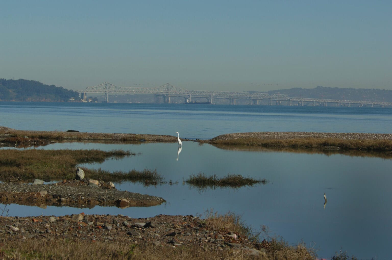 EBRPD District Plan Survey Call to Action - Golden Gate Bird Alliance