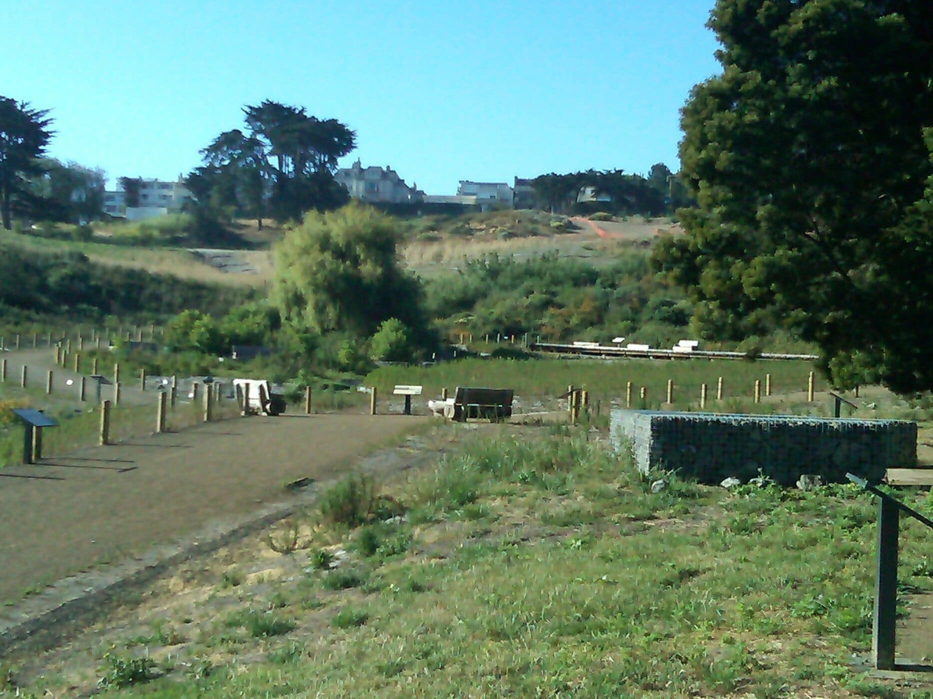 Birding Hotspot: El Polin Spring - Golden Gate Bird Alliance