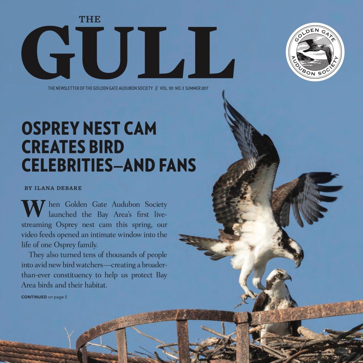 Summer 2017 Gull is available - Golden Gate Bird Alliance
