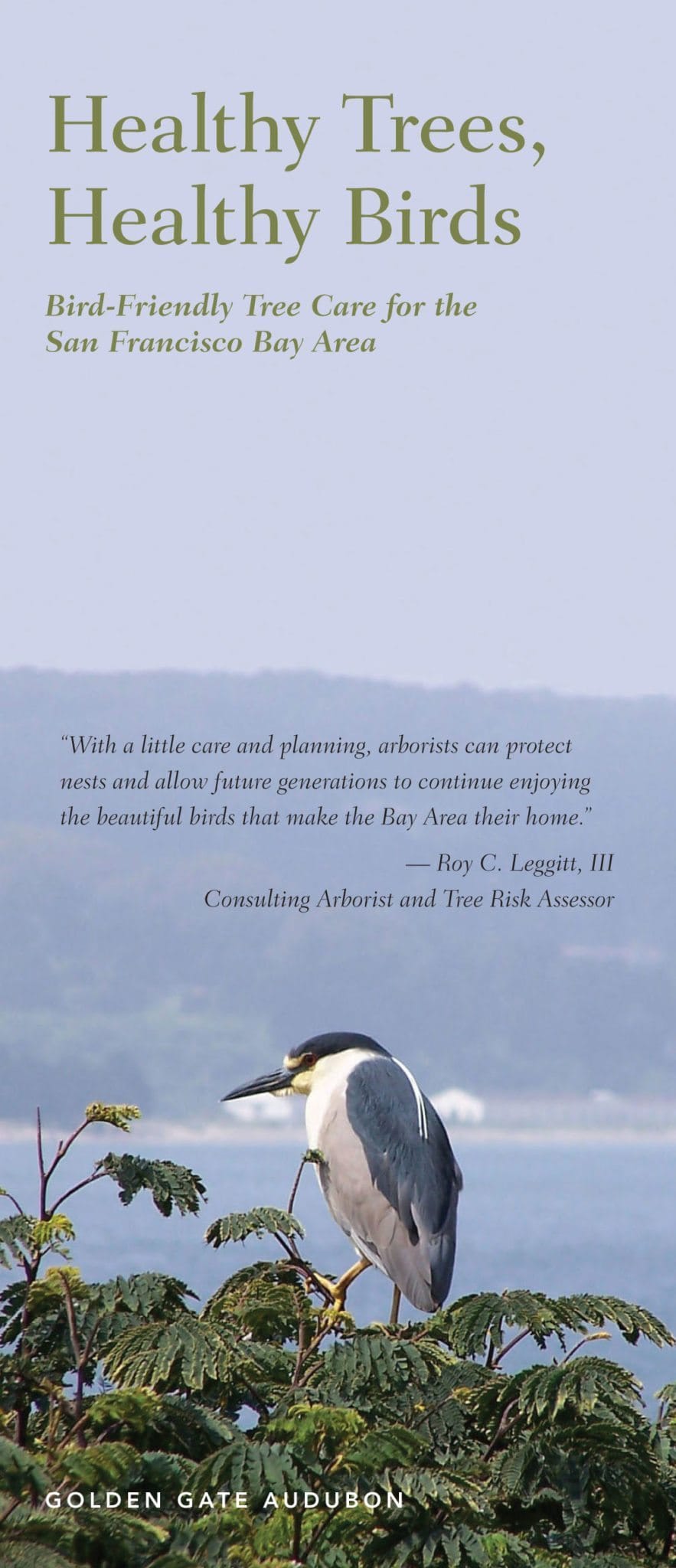 Healthy_Trees_brochure_cover - Golden Gate Bird Alliance