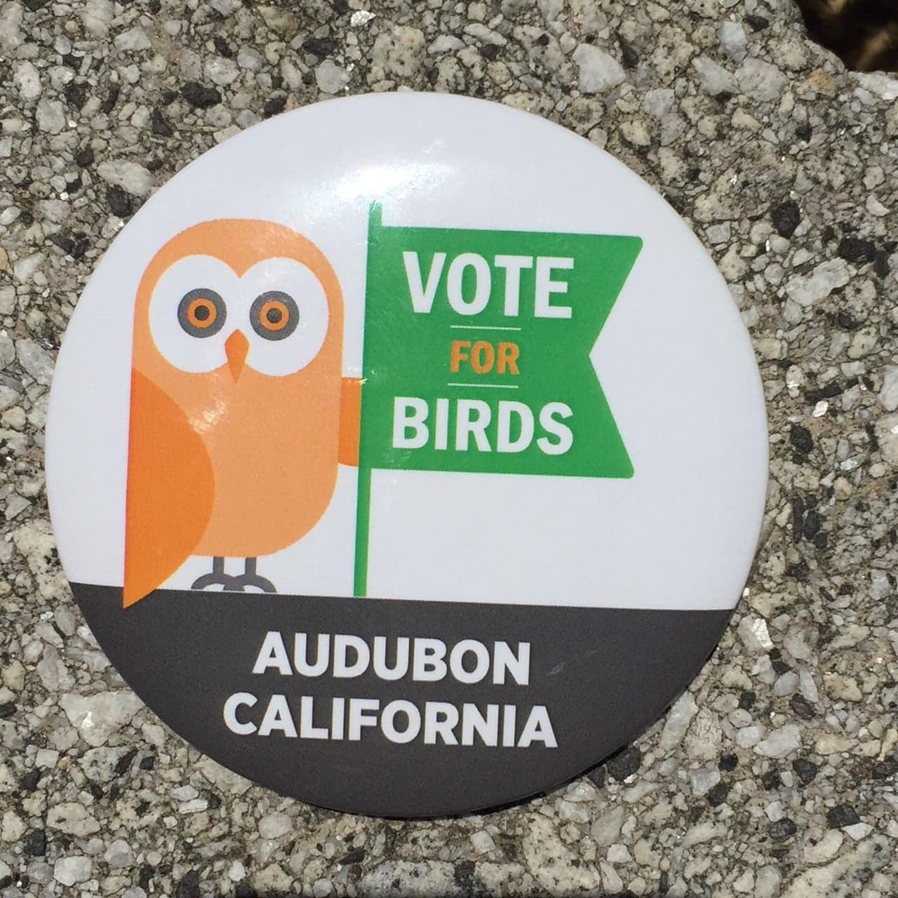 Lobbying for birds at the state Capitol - Golden Gate Bird Alliance