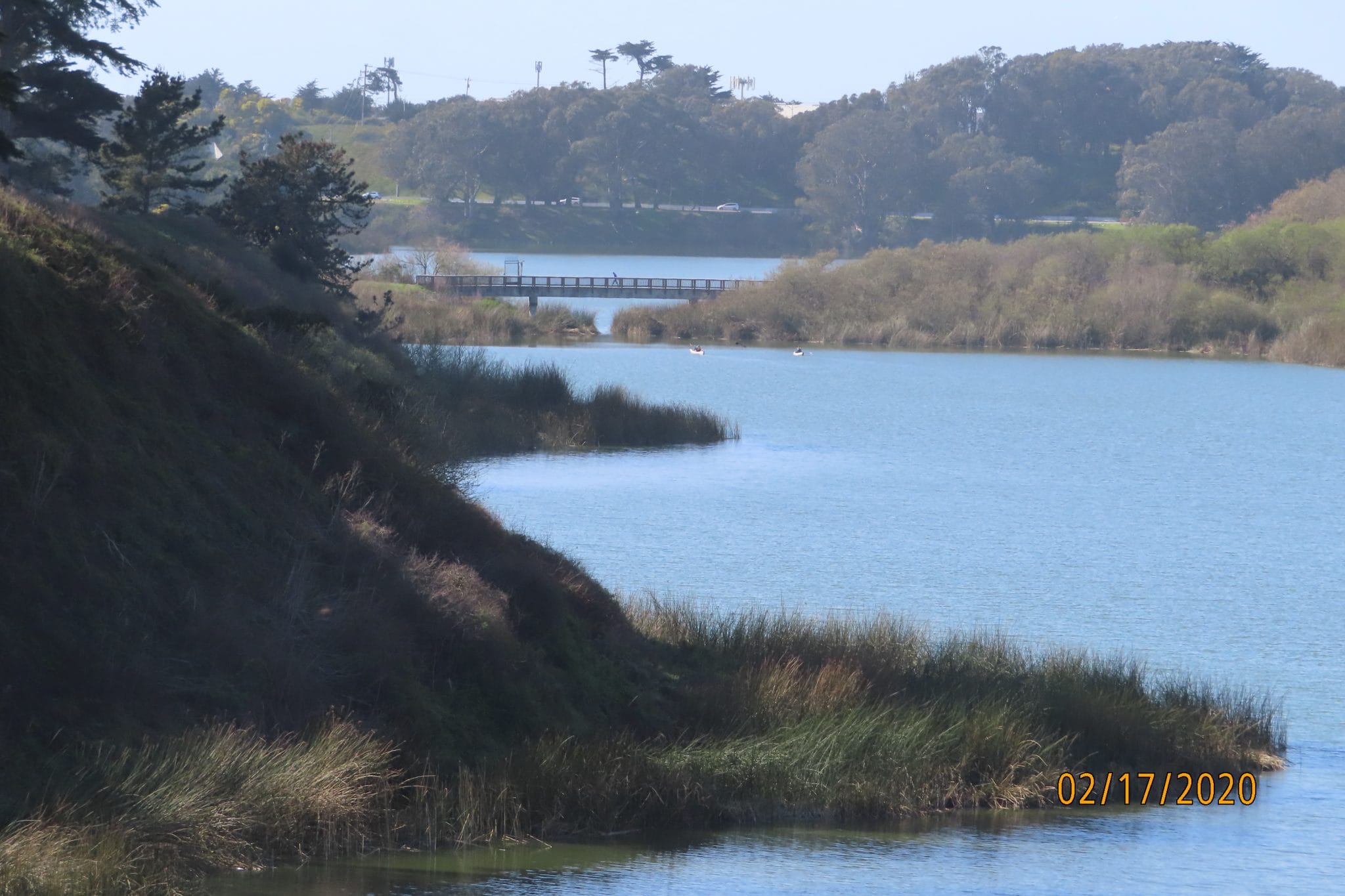 Lake Merced: San Francisco's Birding Jewel - Golden Gate Bird Alliance
