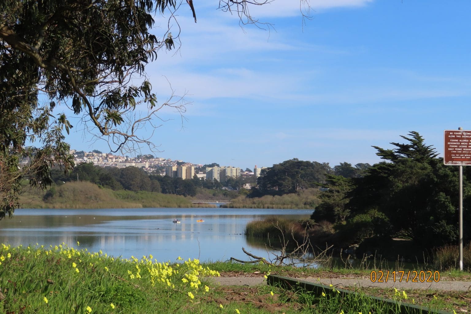 Lake Merced: San Francisco's Birding Jewel - Golden Gate Bird Alliance