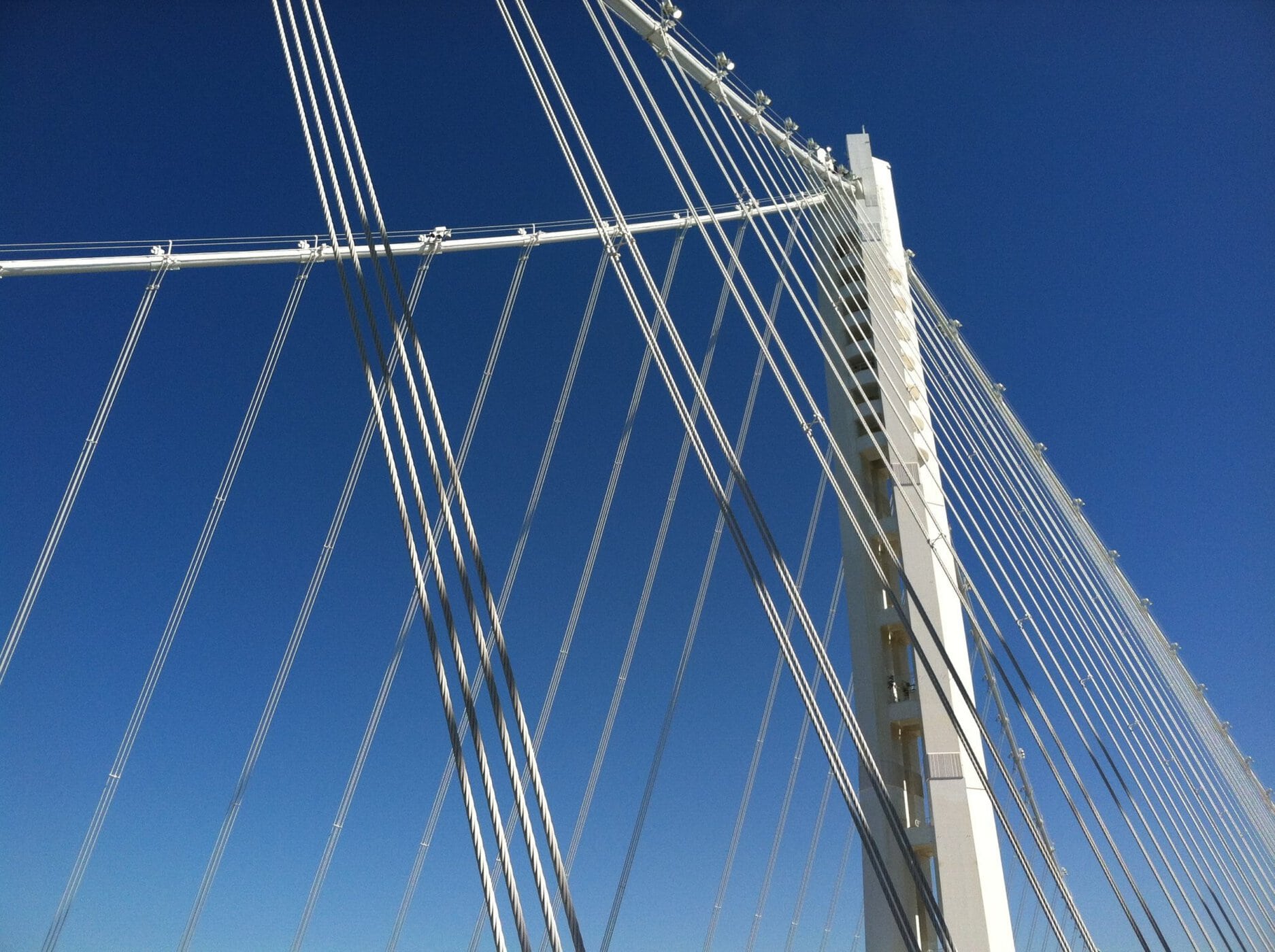 Biking (and birding?) the new Bay Bridge - Golden Gate Bird Alliance