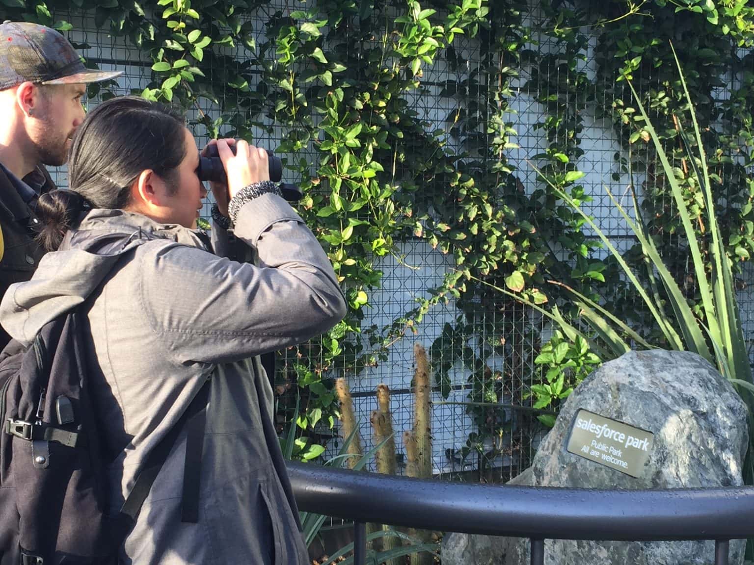 Birding in Salesforce Park - Golden Gate Bird Alliance