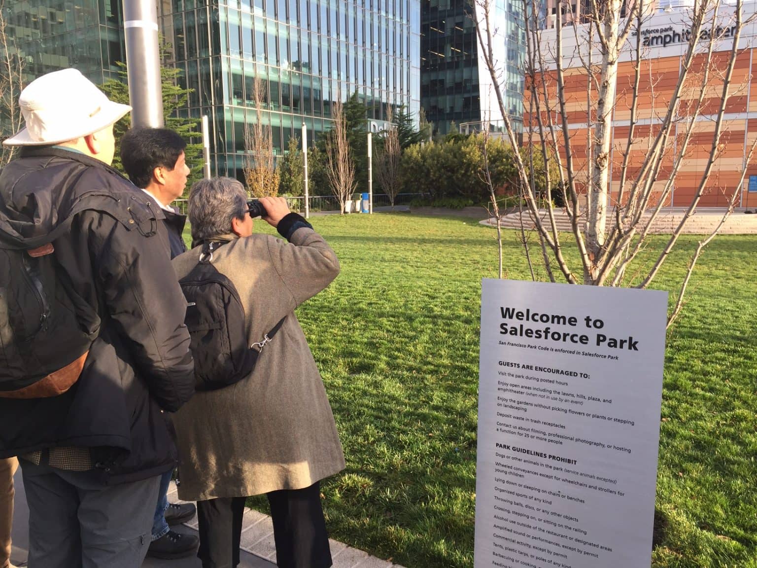 Birding in Salesforce Park - Golden Gate Bird Alliance