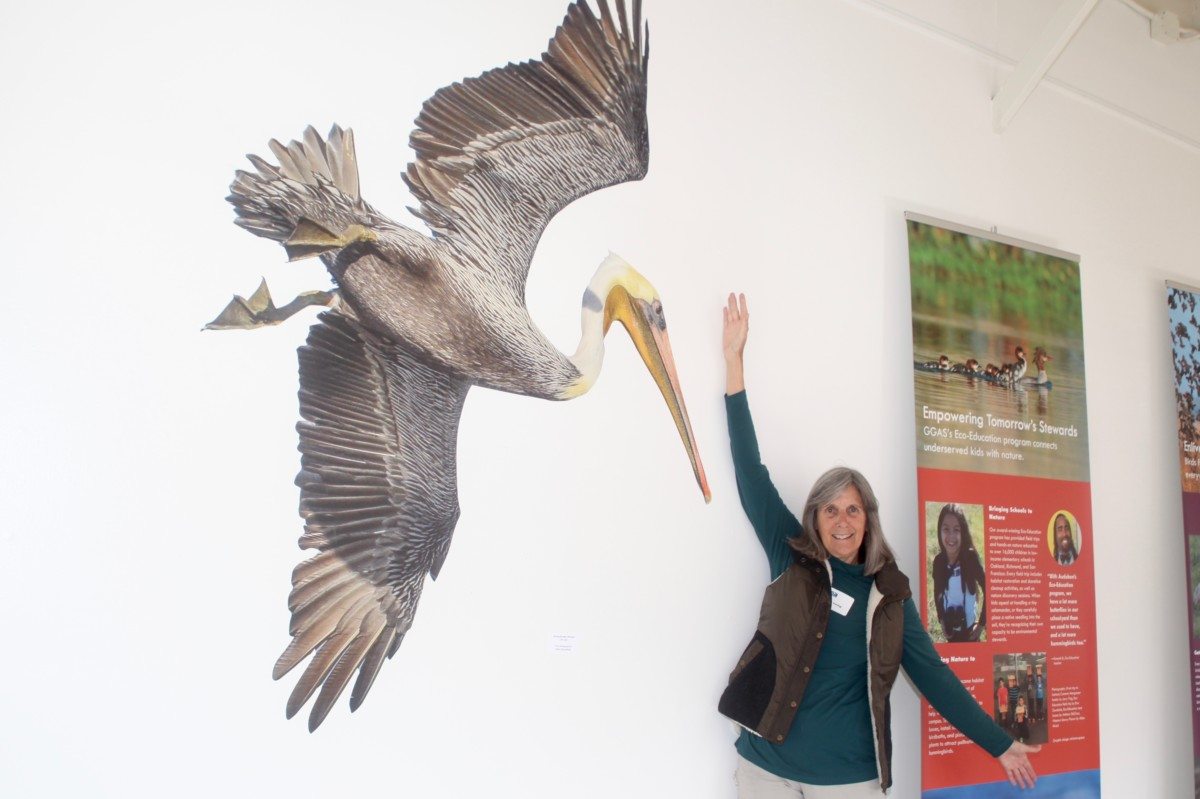 Our Centennial exhibit comes to Lindsay Wildlife - Golden Gate Bird ...