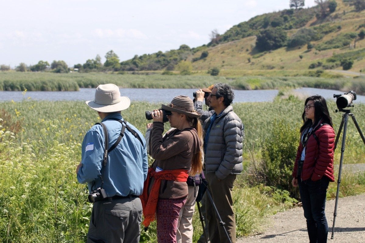 Birding Sites - Golden Gate Bird Alliance
