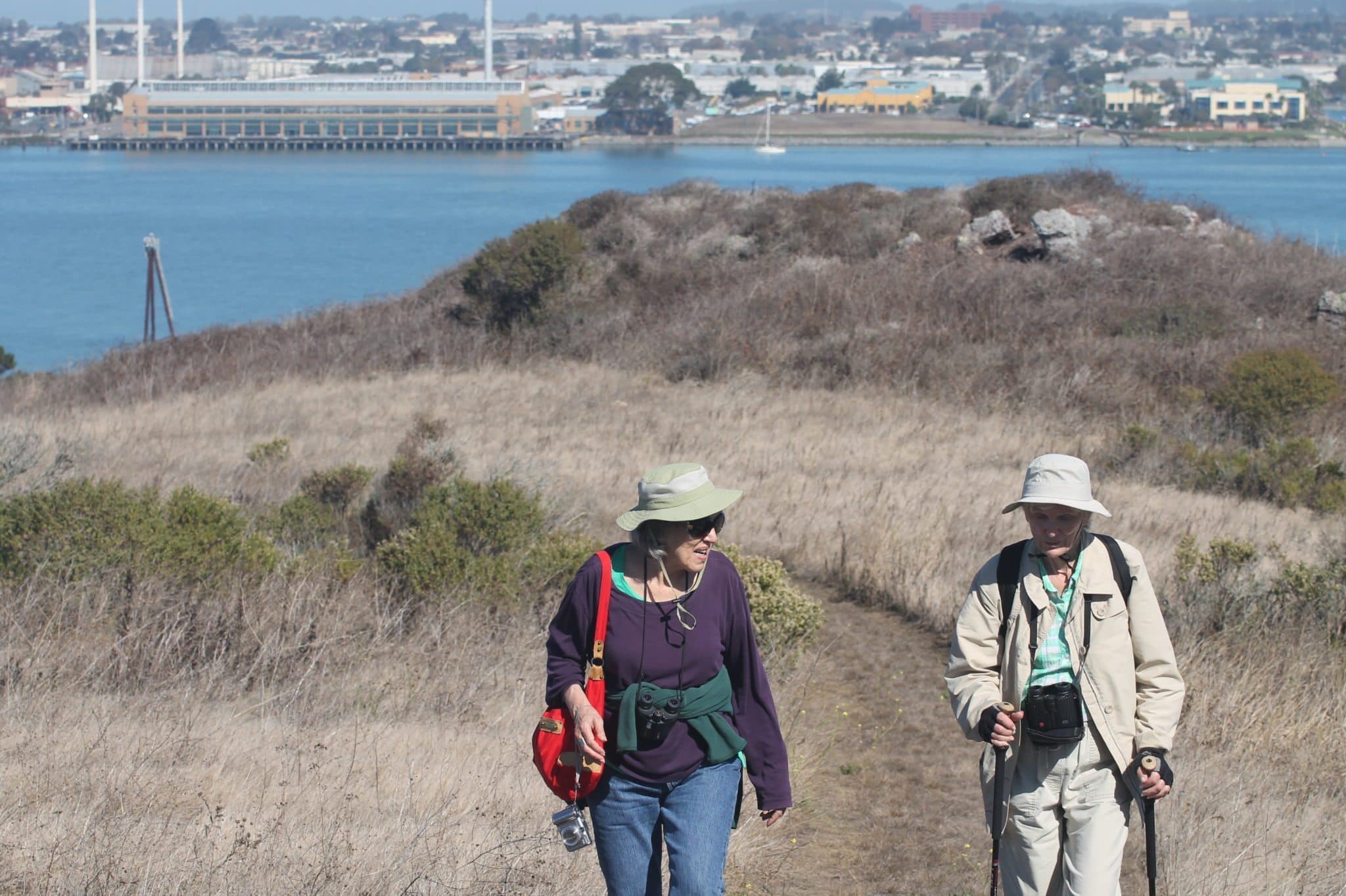 Brooks Island field trip - a special place - Golden Gate Bird Alliance