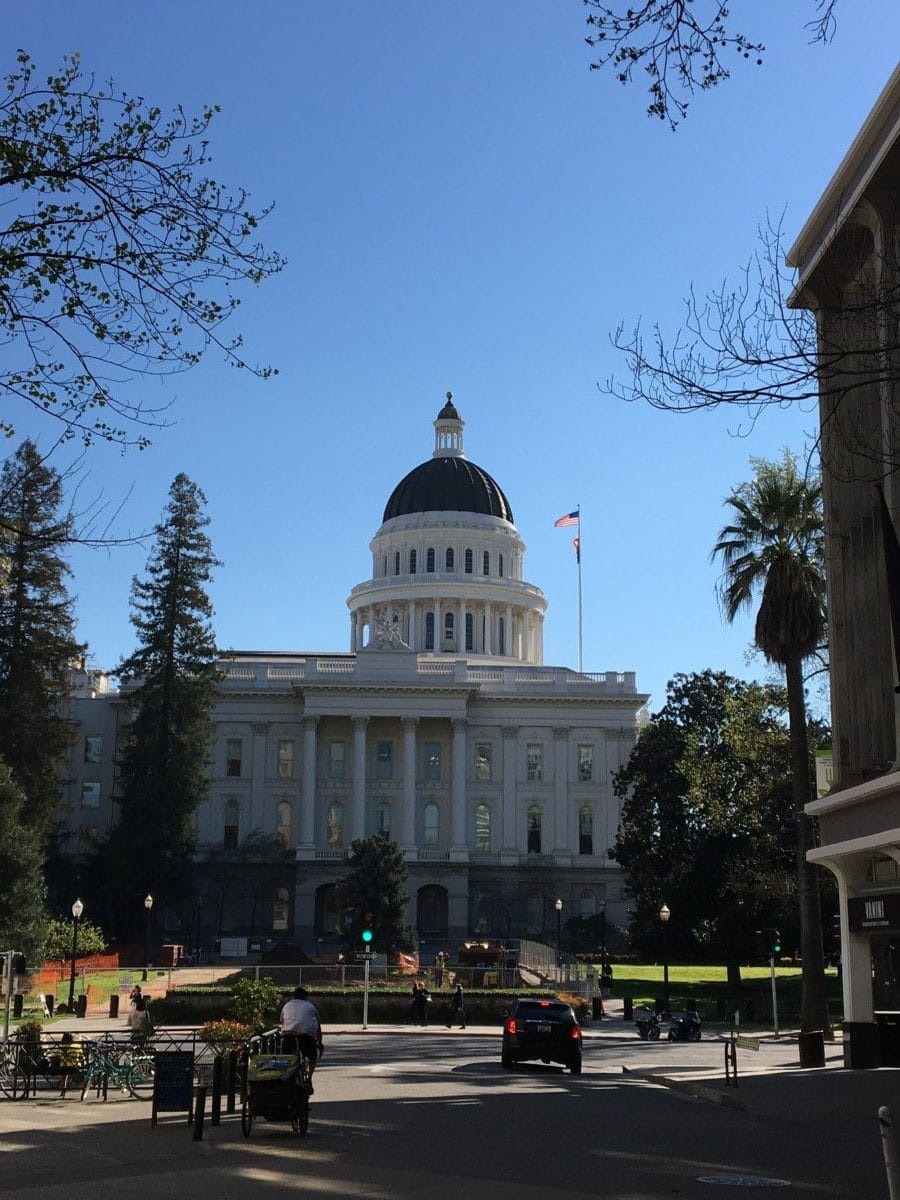 Top ten reasons to be a citizen-advocate - Golden Gate Bird Alliance