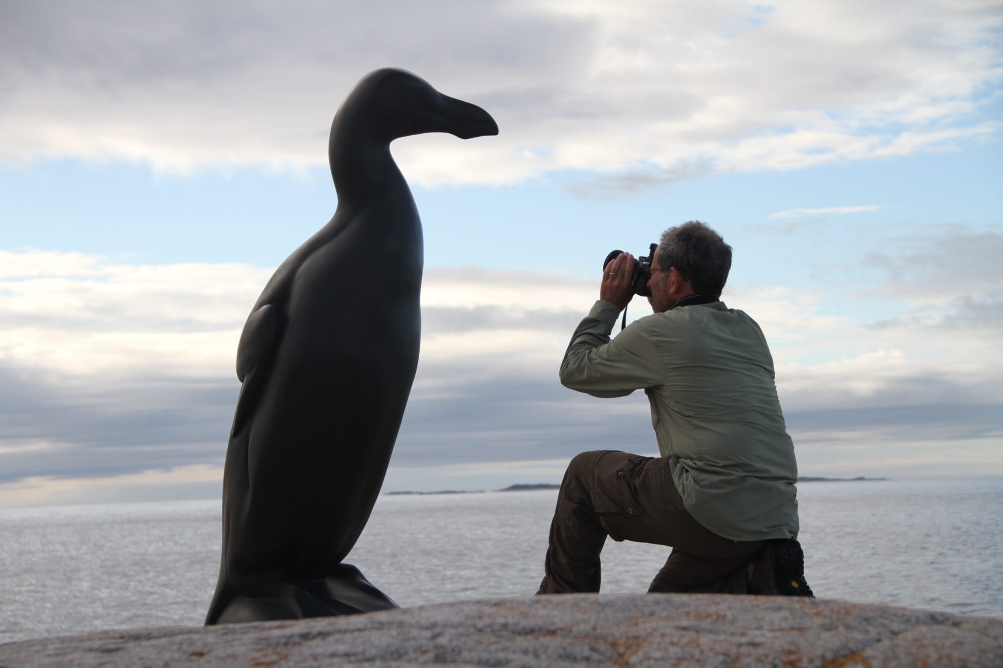 Lost Bird - Golden Gate Bird Alliance