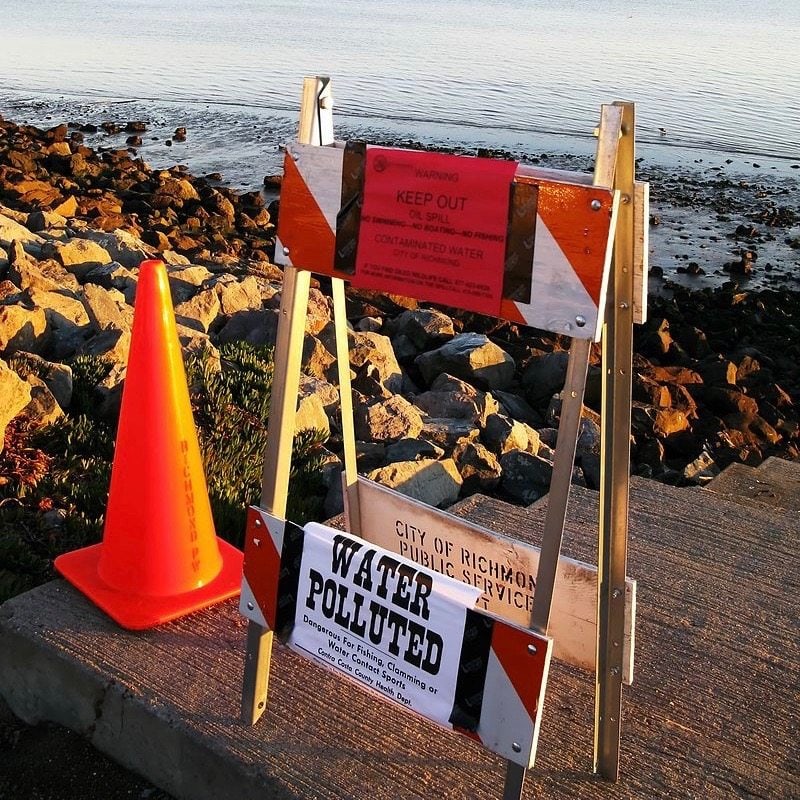 Cosco Busan oil spill - 10 years later - Golden Gate Bird Alliance