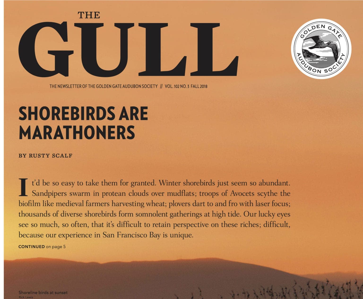 Fall 2018 Gull is available - Golden Gate Bird Alliance