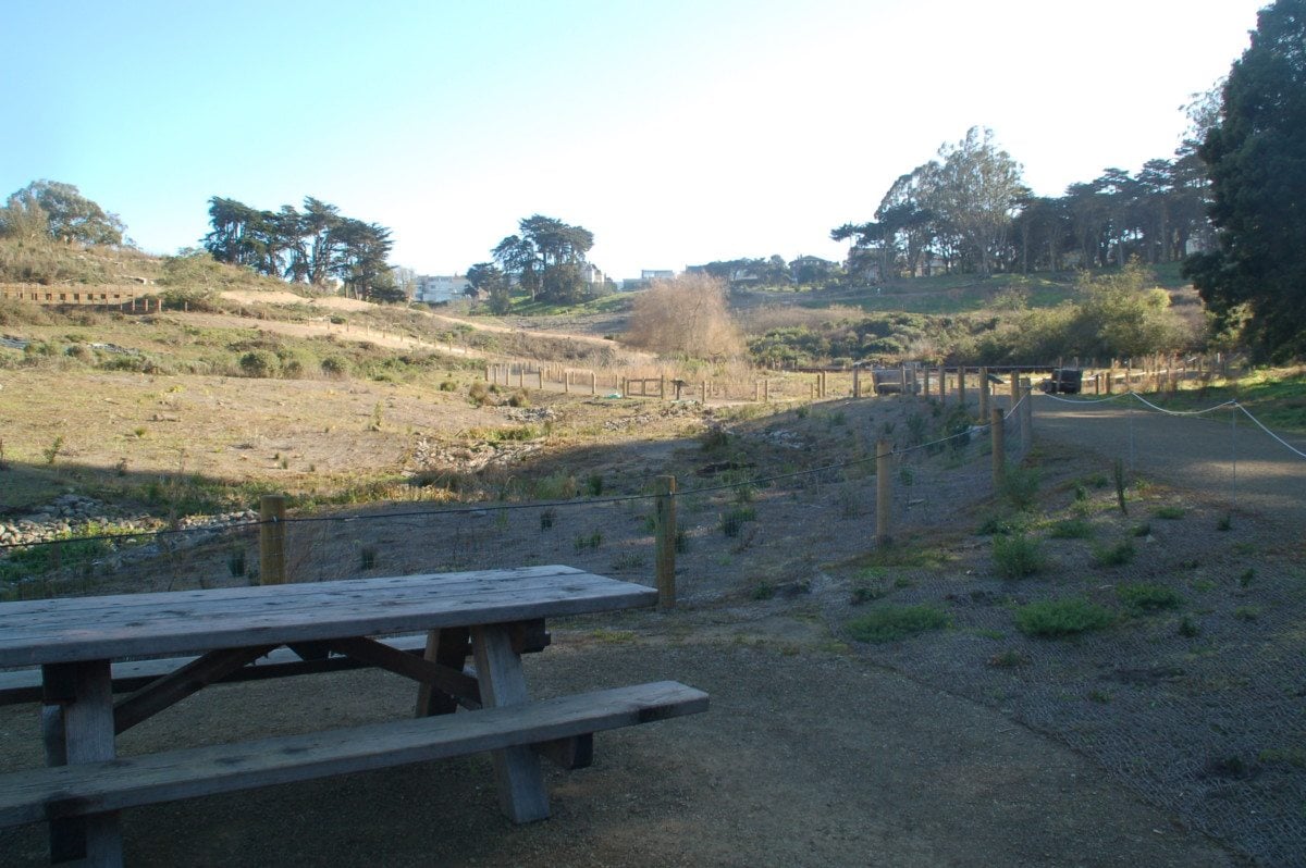 Presidio of San Francisco: Birding Hotspot - Golden Gate Bird Alliance