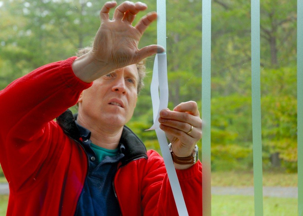 New translucent tape to prevent bird-window collisions - Golden Gate ...