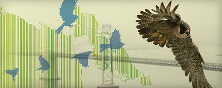 Standards for Bird Safe Buildings - Signed by Mayor - Golden Gate Bird ...